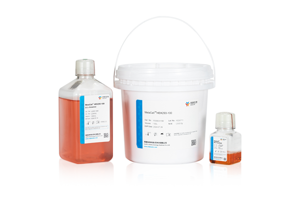 Product & Service_Cellplus Bio-Consistently high-performing cell ...