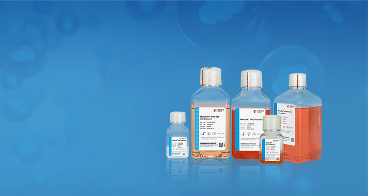 Stable Protein Expression_Cellplus Bio-Consistently high-performing ...